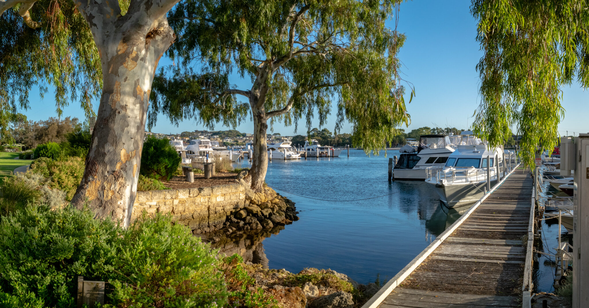 Plan a Pet-Friendly Stay in Fremantle | Pier 21